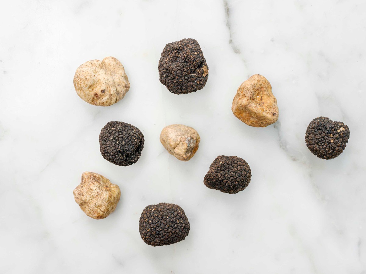 Everything You Need to Know About Truffles | ChefSteps