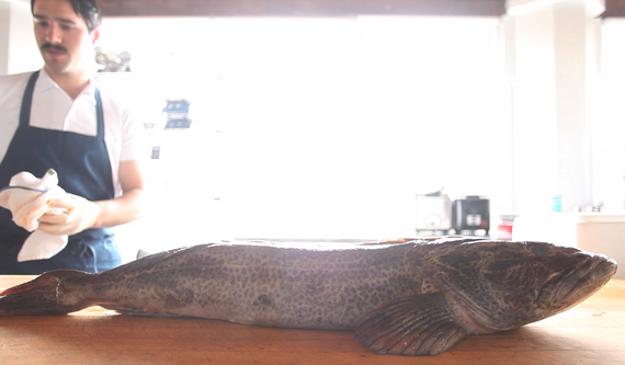 Whole fish - Ingredient | ChefSteps