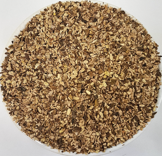 Rhubarb root - Ingredient | ChefSteps