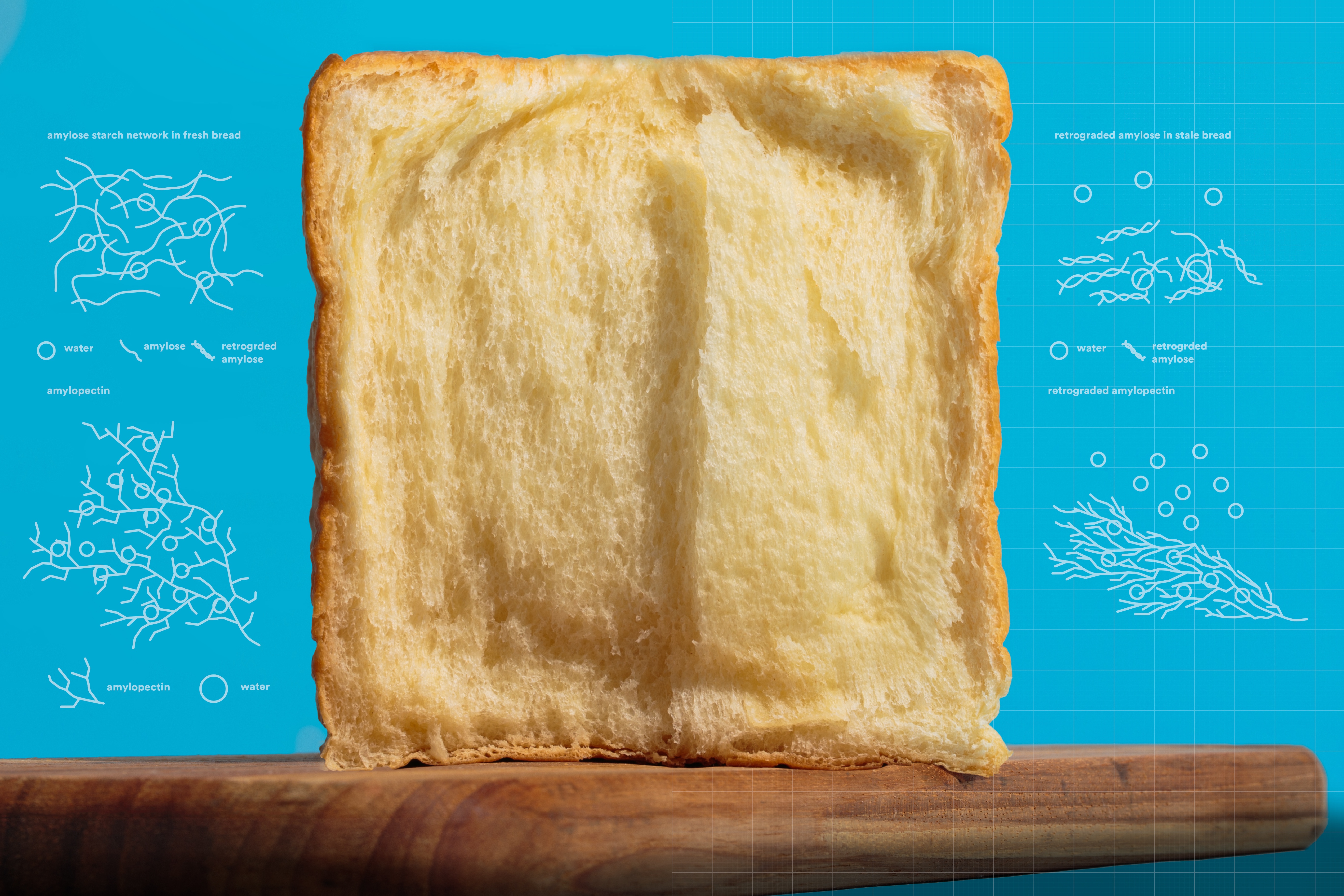 Starch Retrogradation and the Science of Staling | ChefSteps