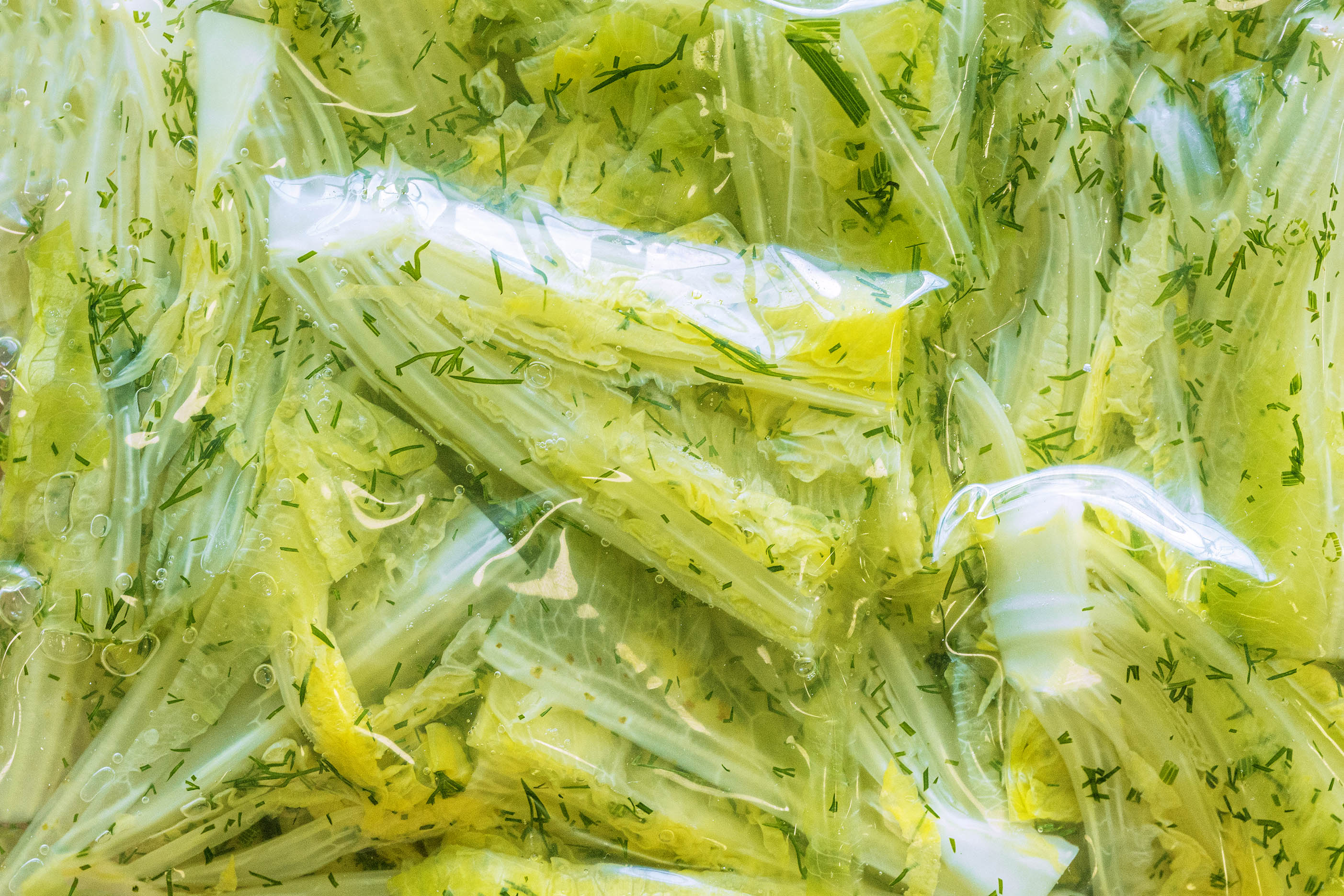 Dill-Pickled Lettuce Cores | ChefSteps