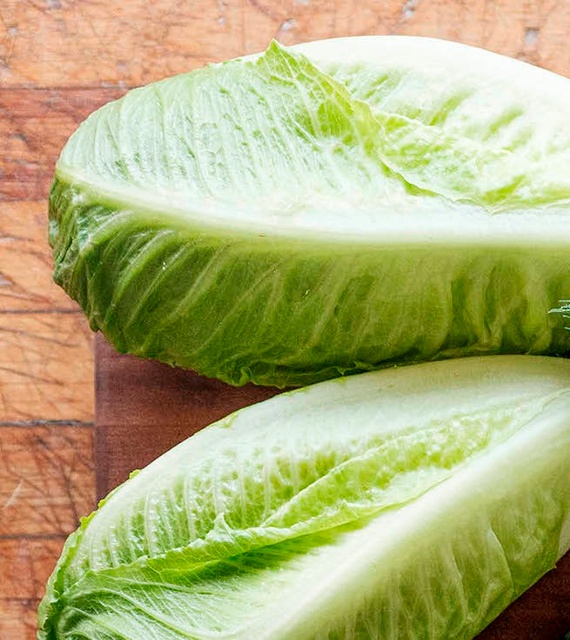 Romaine - Ingredient | ChefSteps