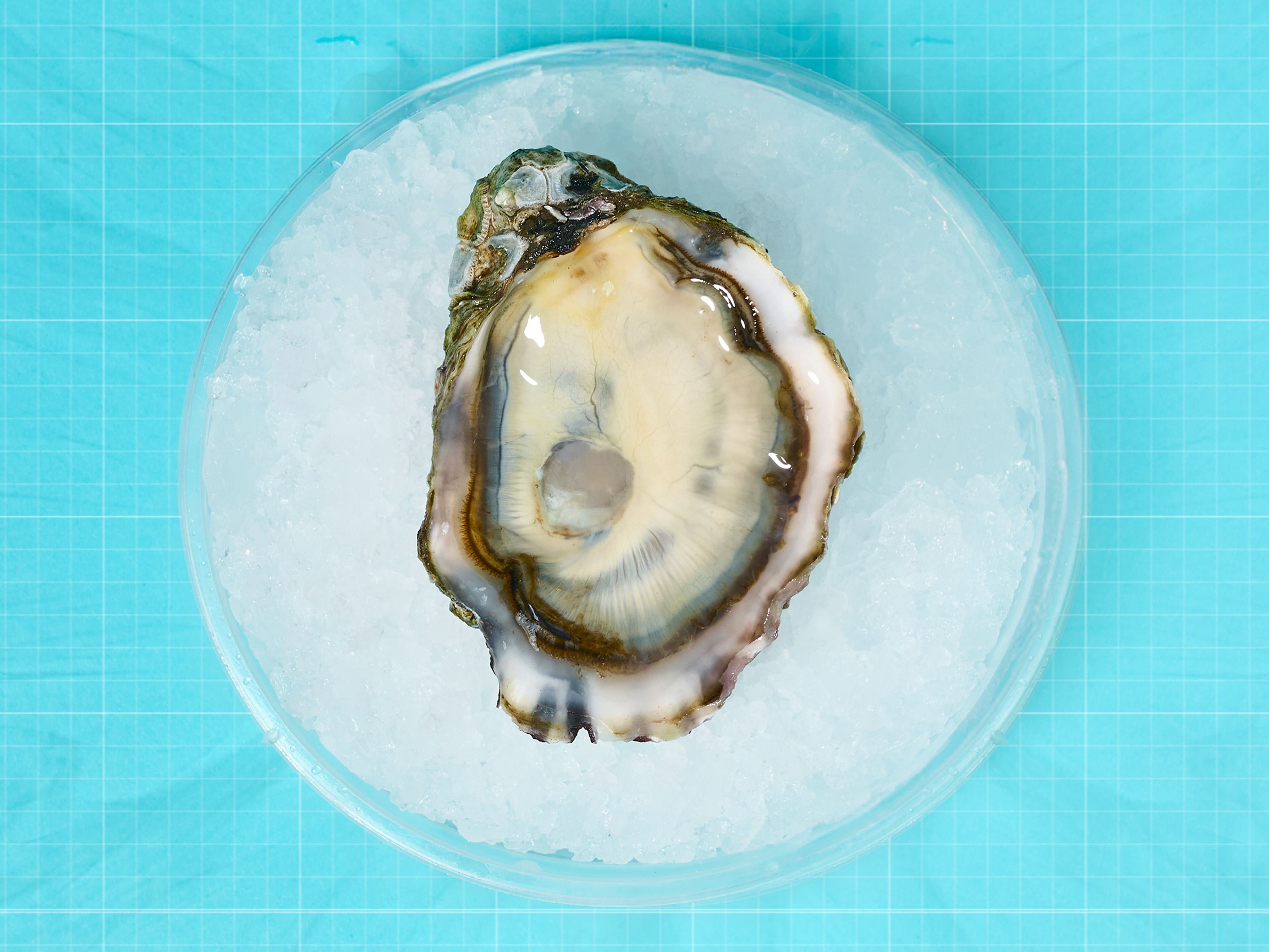 How to Shuck Oysters Four Ways | ChefSteps