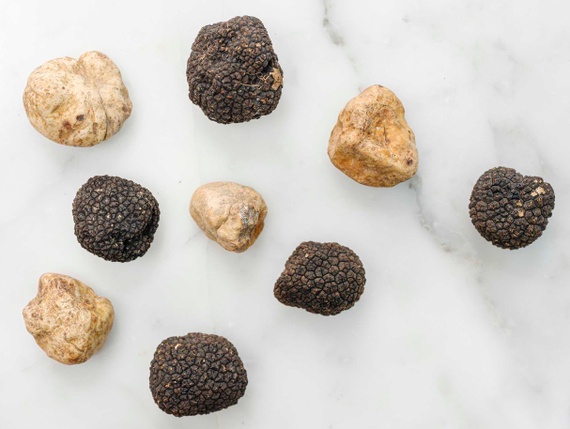 Black truffle - Ingredient | ChefSteps