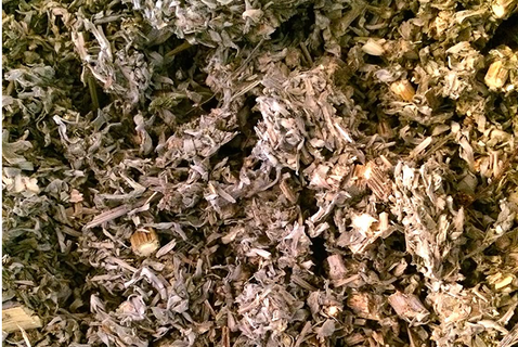 Wormwood - Ingredient | ChefSteps