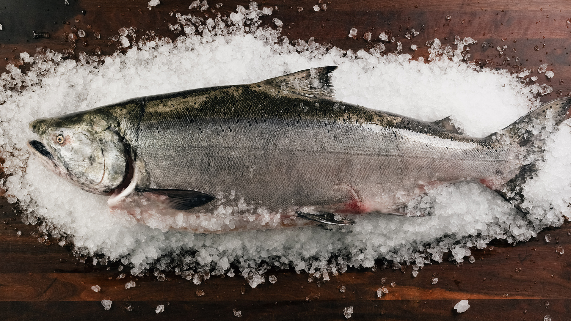 The Ultimate Guide to Salmon | ChefSteps