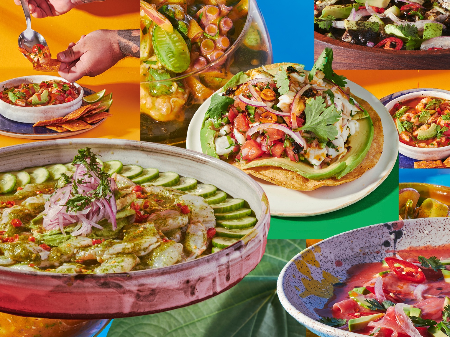 The Mariscos-verse Guide | ChefSteps