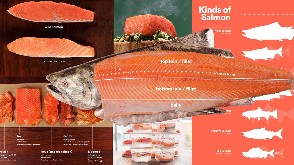 The Ultimate Guide to Salmon | ChefSteps