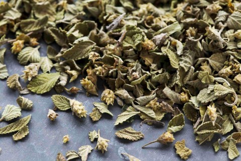 Mexican oregano - Ingredient | ChefSteps