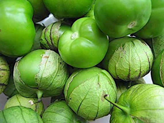 Tomatillos - Ingredient | ChefSteps