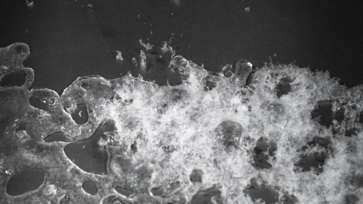 The Physics of Freezing Liquid Nitrogen in a Vacuum | ChefSteps