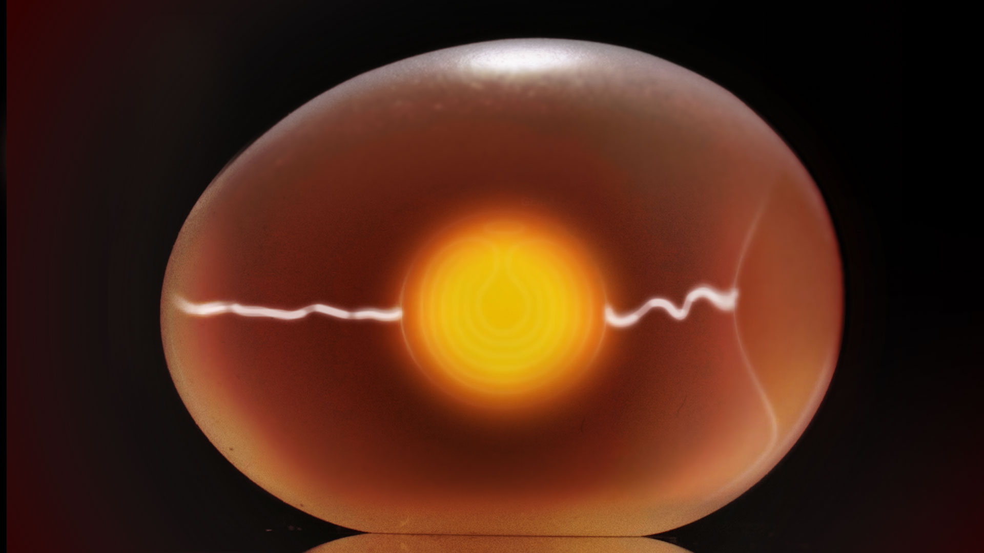 Cracking the Egg: Understanding This Incredible Ingredient | ChefSteps