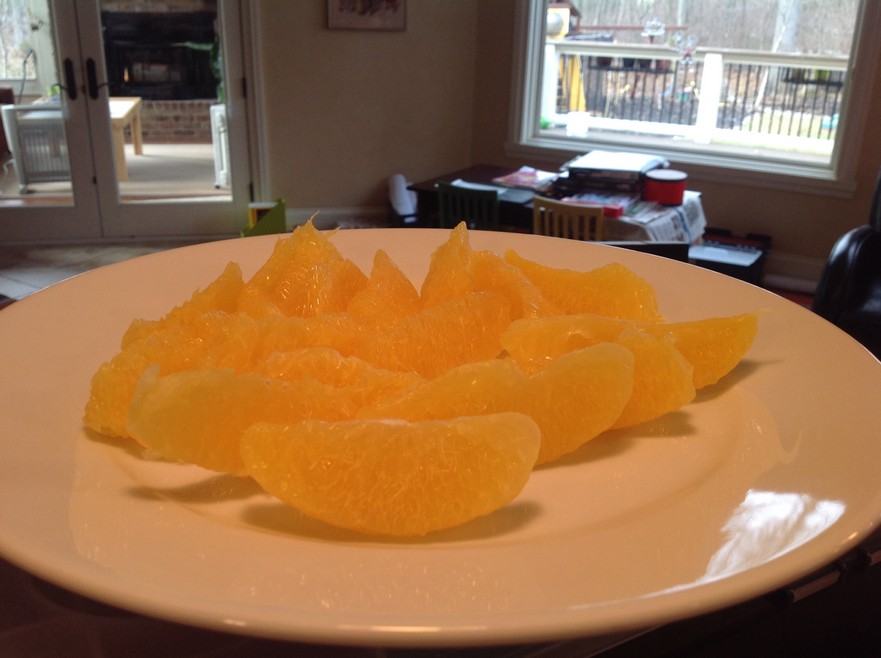 Citrus supreme practice - Photo by Josh Mervis | ChefSteps